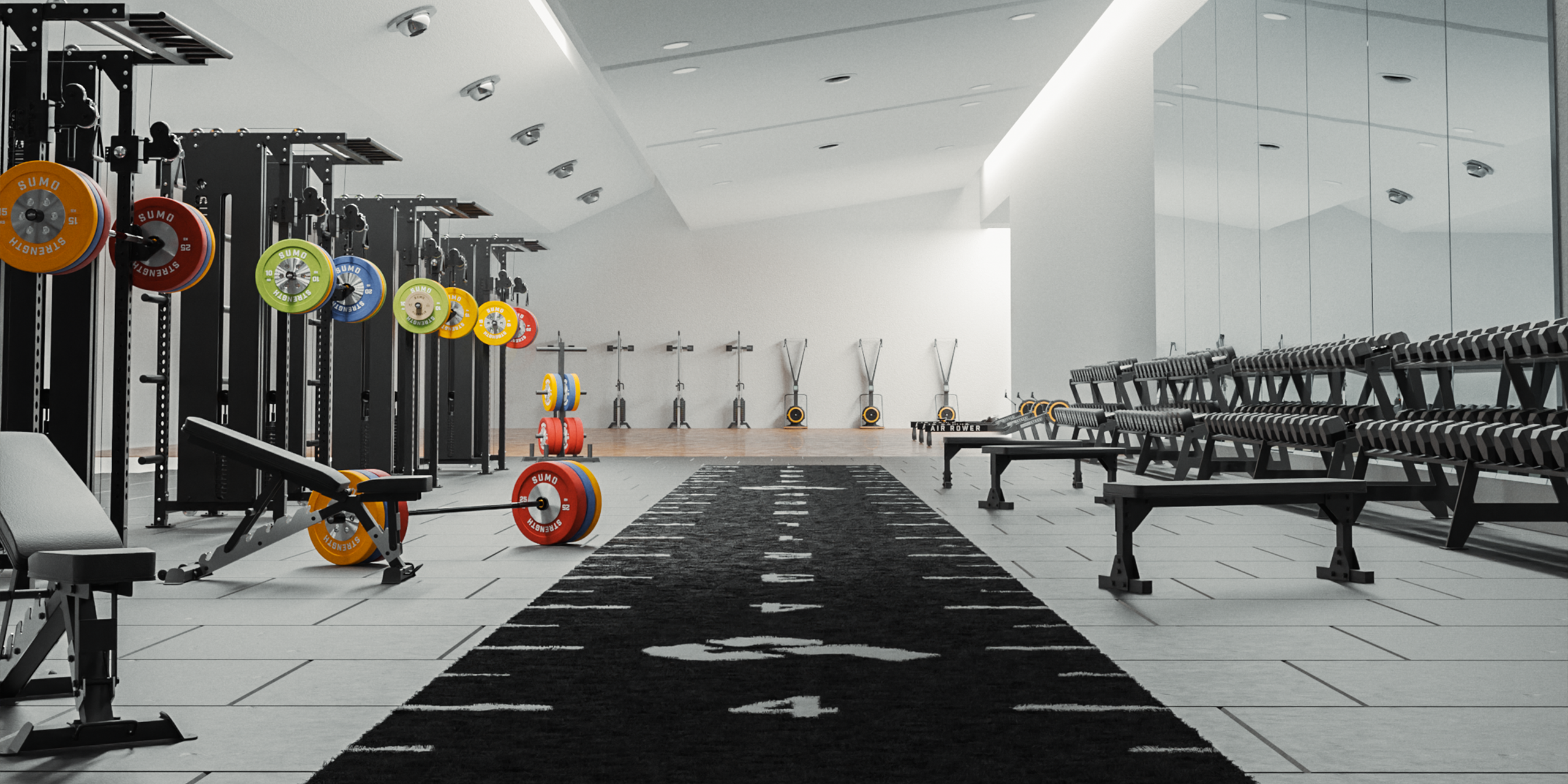 Buy Adjustable Dumbbells | Adjustable Dumbbell Set | Sumo Strength